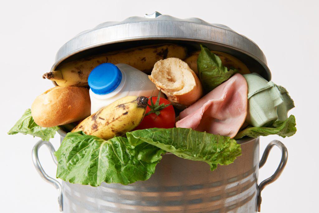 FOOD WASTE IN AMERICA CAUSING ENVIRONMENTAL HARM - Haultail On-Demand ...