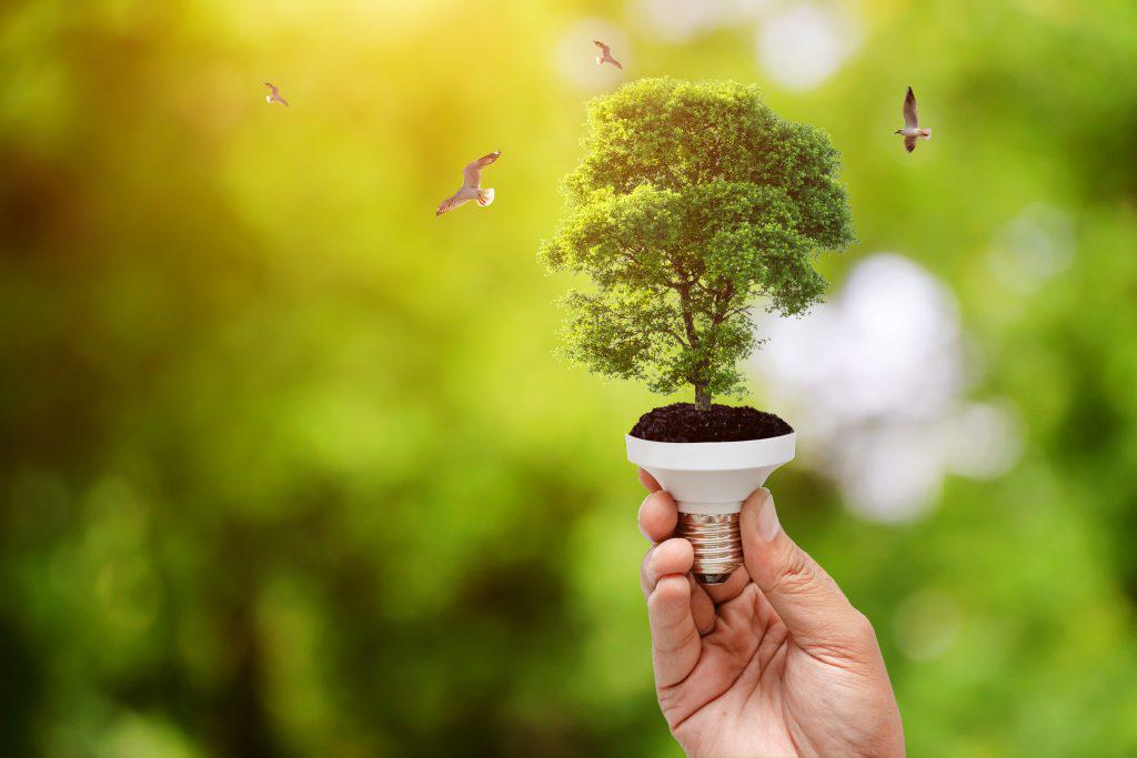 YALE’S CAMPUS WIDE TAKE ON ENERGY AND ENVIRONMENT - Haultail On-Demand ...