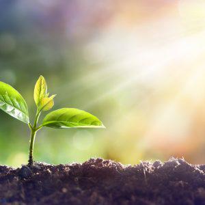 GREEN GROWTH IS TRUSTED TO FIX CLIMATE CHANGE – HERE’S THE PROBLEM WITH ...