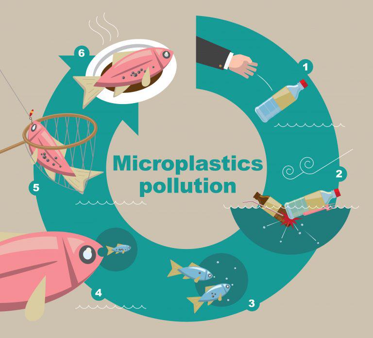 Microplastics, microbeads and single-use plastics poisoning sea life ...