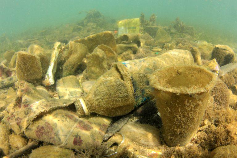 The Global Plastic Crisis In Numbers: 10 Shocking Facts You Need To ...