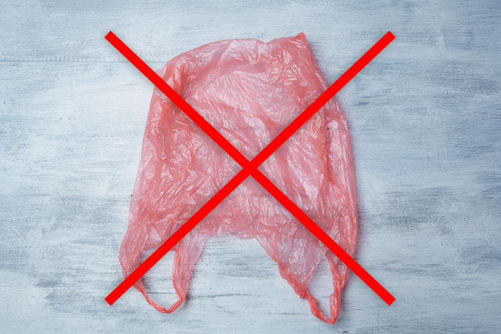 State Senate Passes Single-Use Plastic Bag Ban — Again - Haultail On ...