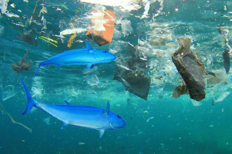 Polymer that degrades under ultraviolet light could solve ocean plastic ...