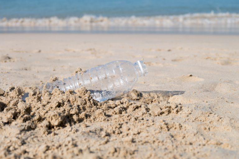 Blue Nature Alliance aims to restore 7 million square miles of ocean in ...