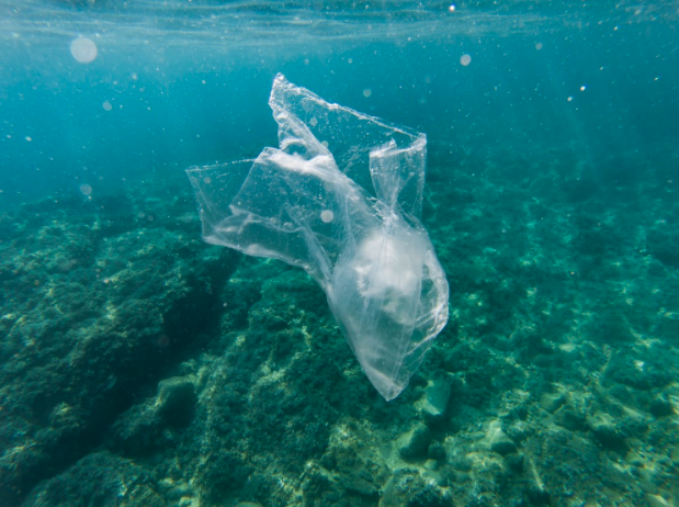 6 Unknown Facts About Single-Use Plastic Bags - Haultail On-Demand ...