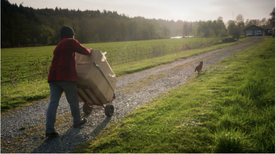 The Best Junk Removal Tools in the Market - Haultail On-Demand Delivery ...